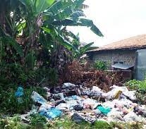 Jentik Nyamuk: Bahaya yang Tersembunyi di Sekitar Kita! Memberantas ...